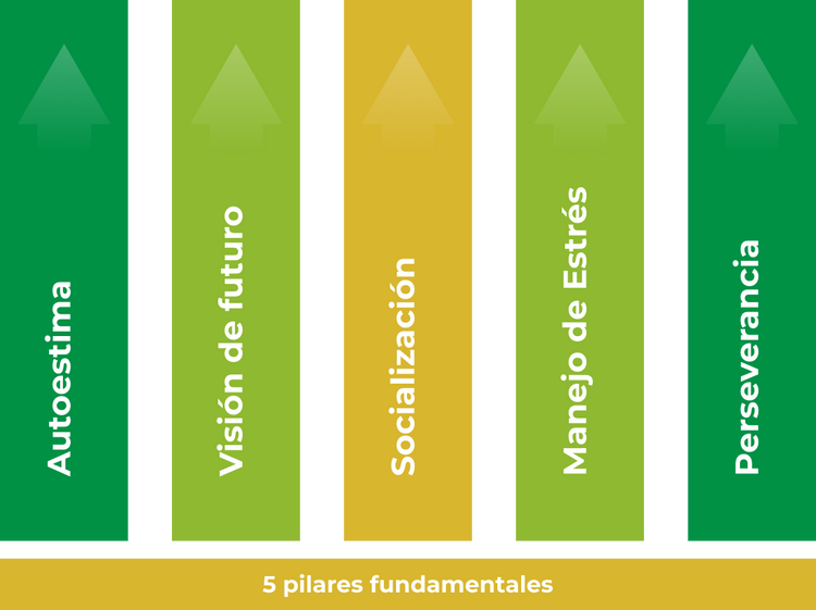 Módulos Educativos – Fundación Dondé
