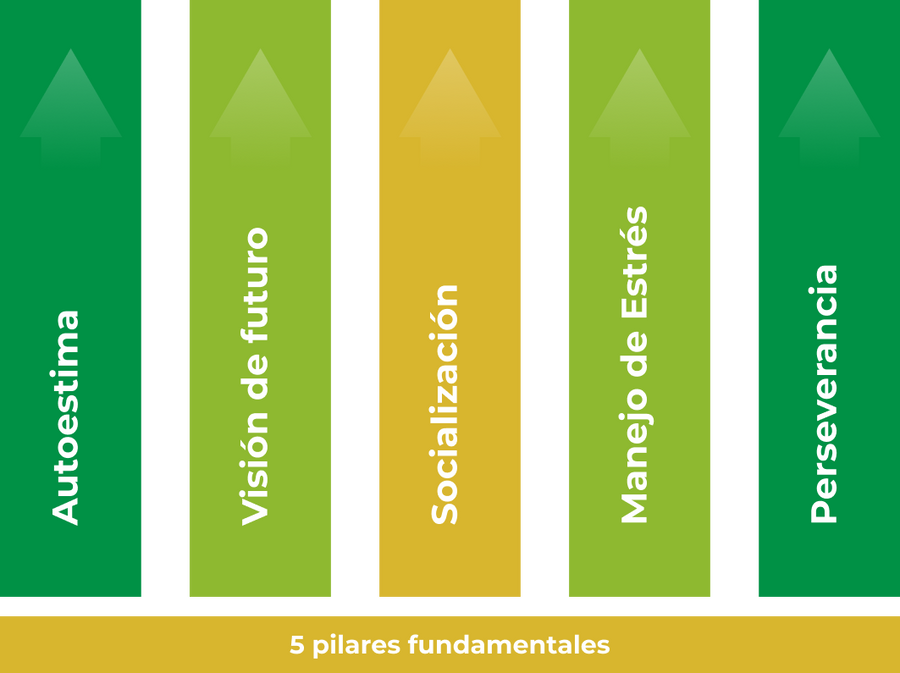 Módulos Educativos – Fundación Dondé